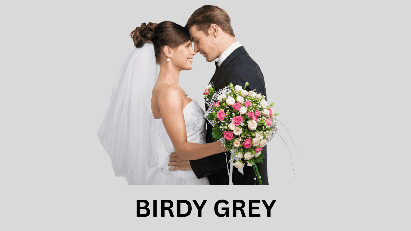 Affordable & Stylish Bridesmaid Dresses | Birdy Grey Guide