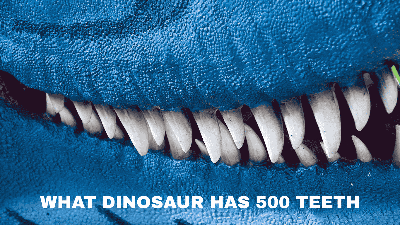 What Dinosaur Has 500 Teeth? Meet Nigersaurus